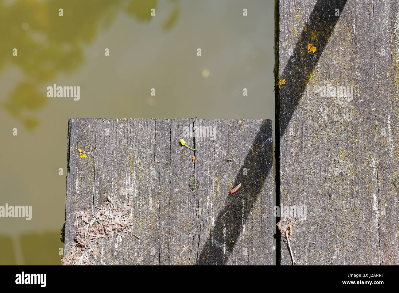 Old wooden bridge foot plank covered in lichen and moss and green water ...