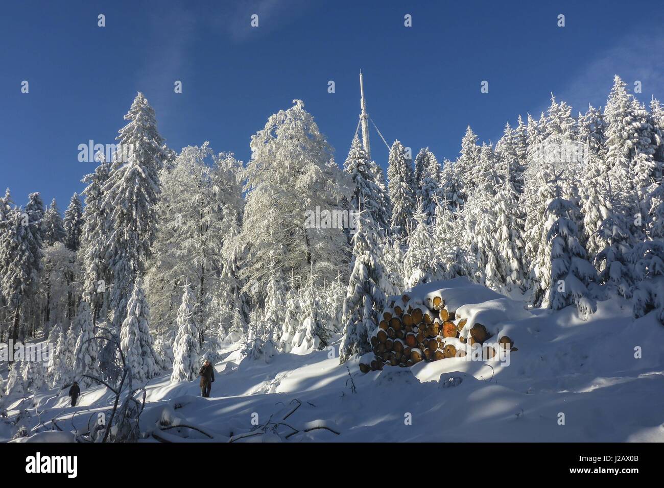 The Großer Feldberg in the Taunus mountains near Frankfurt, Germany, in ...