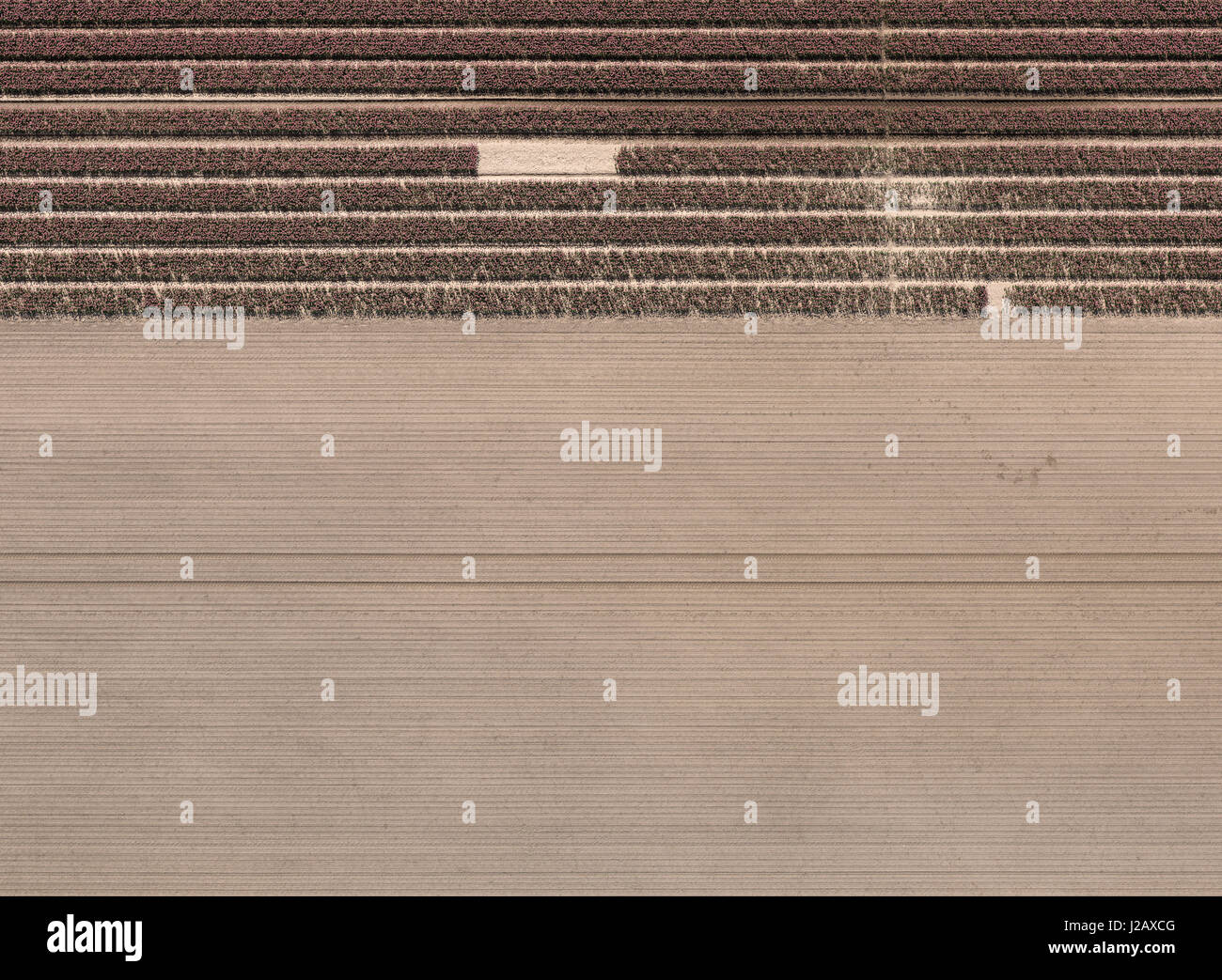 Full frame shot field hi-res stock photography and images - Alamy