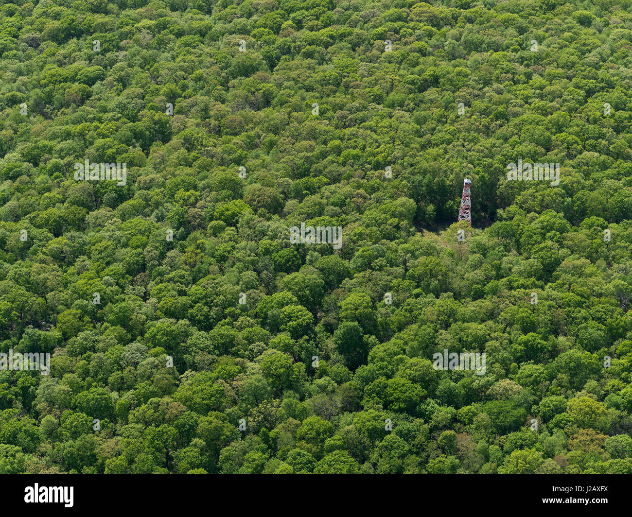 Horizontal frame with trees hi-res stock photography and images - Alamy