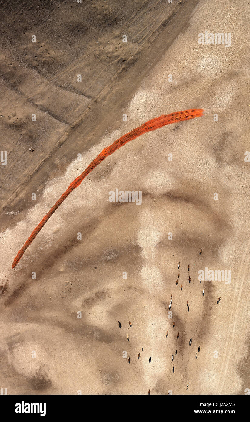 Large group of animals aerial view hi-res stock photography and images ...