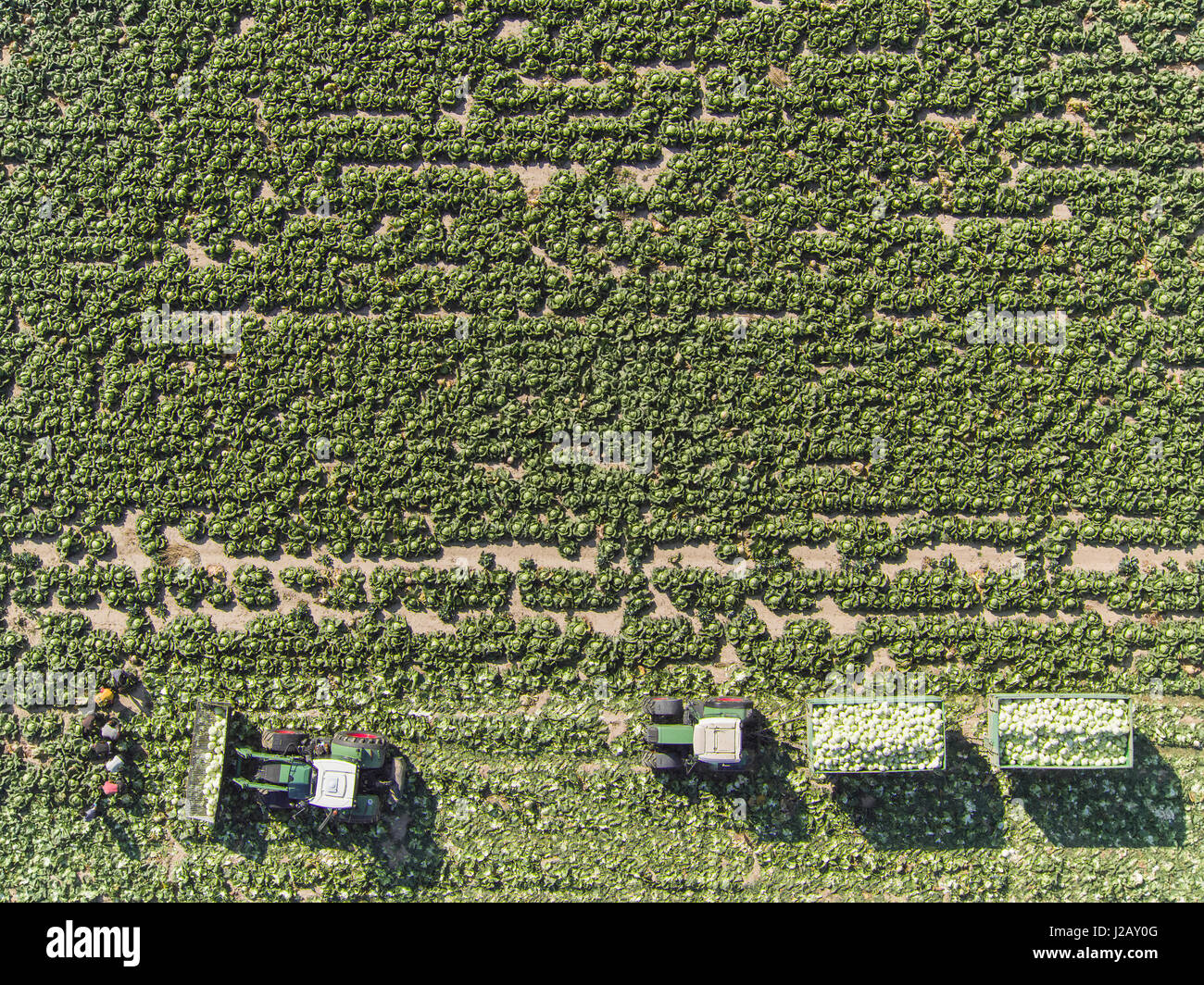 Trailer directly above hi-res stock photography and images - Alamy