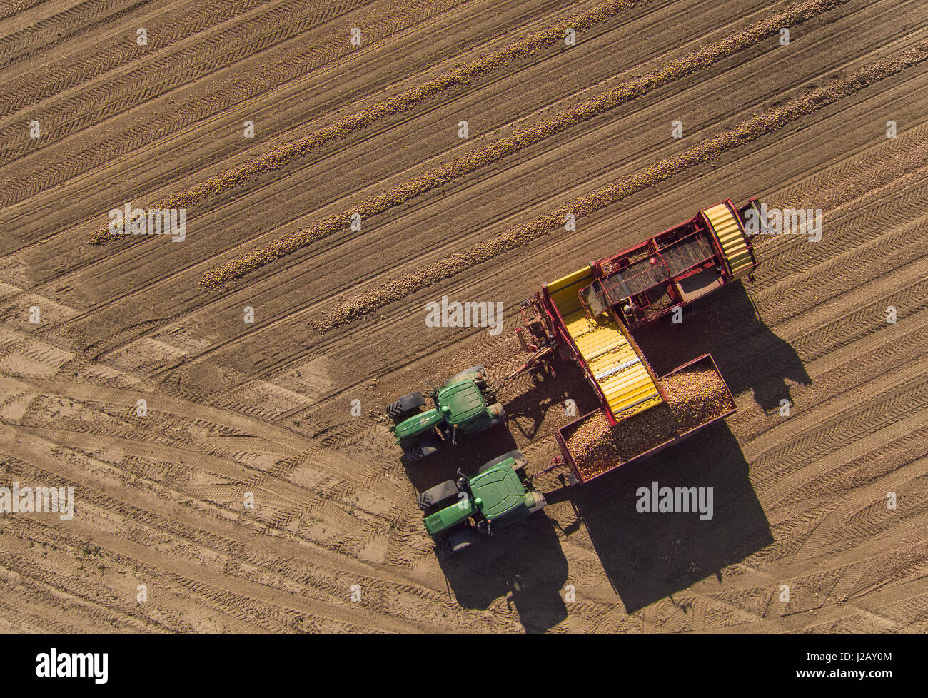 Directly above view of combine harvester in field Stock Photo - Alamy
