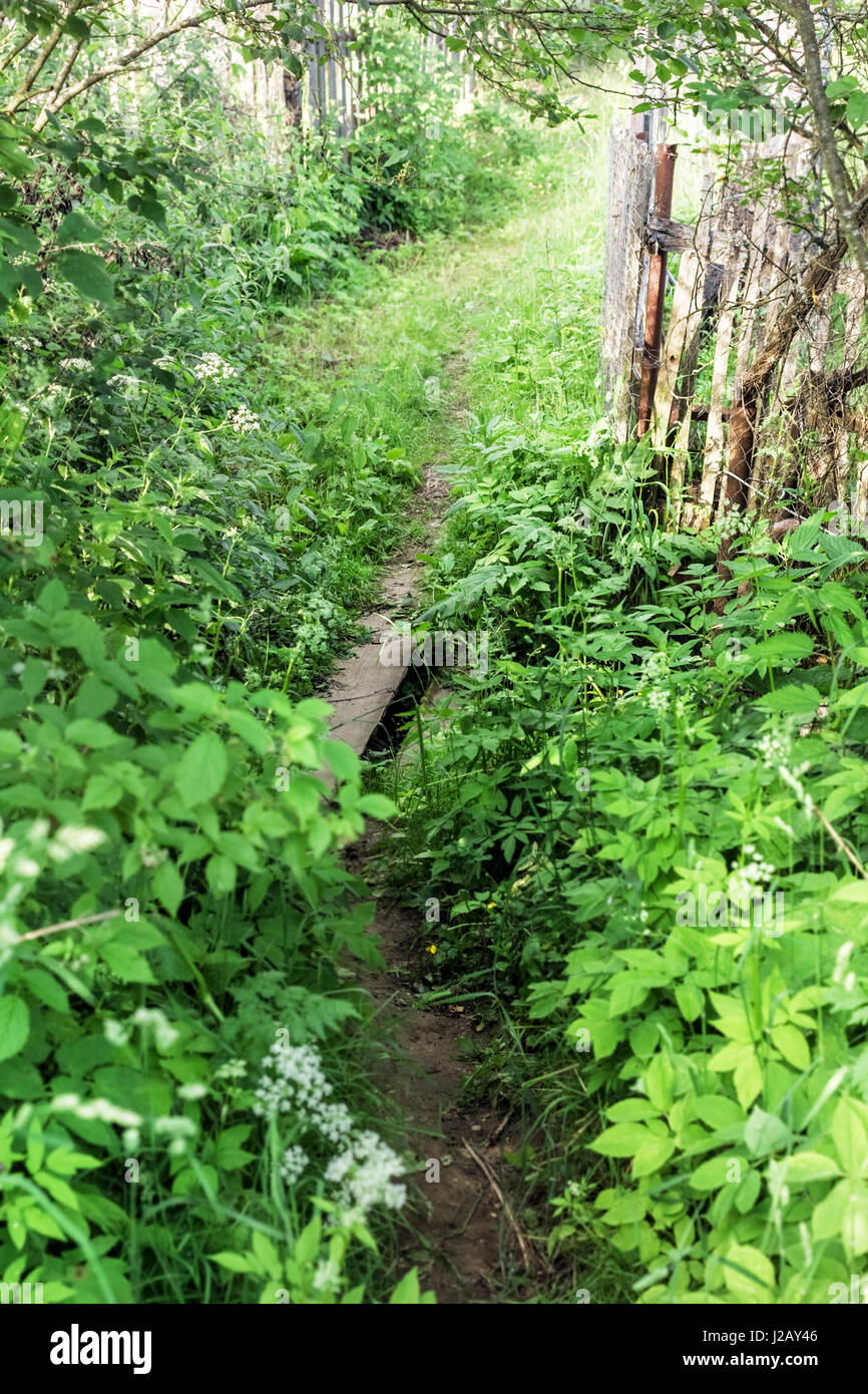 Memories of nature hi-res stock photography and images - Alamy