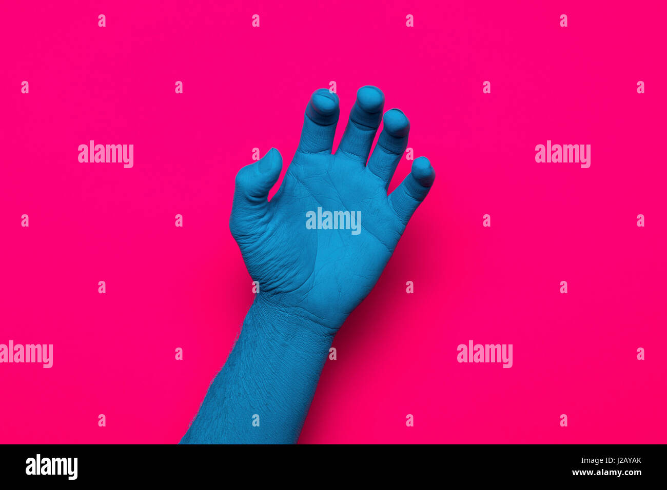 Close-up of blue painted hand gesturing against pink background Stock ...