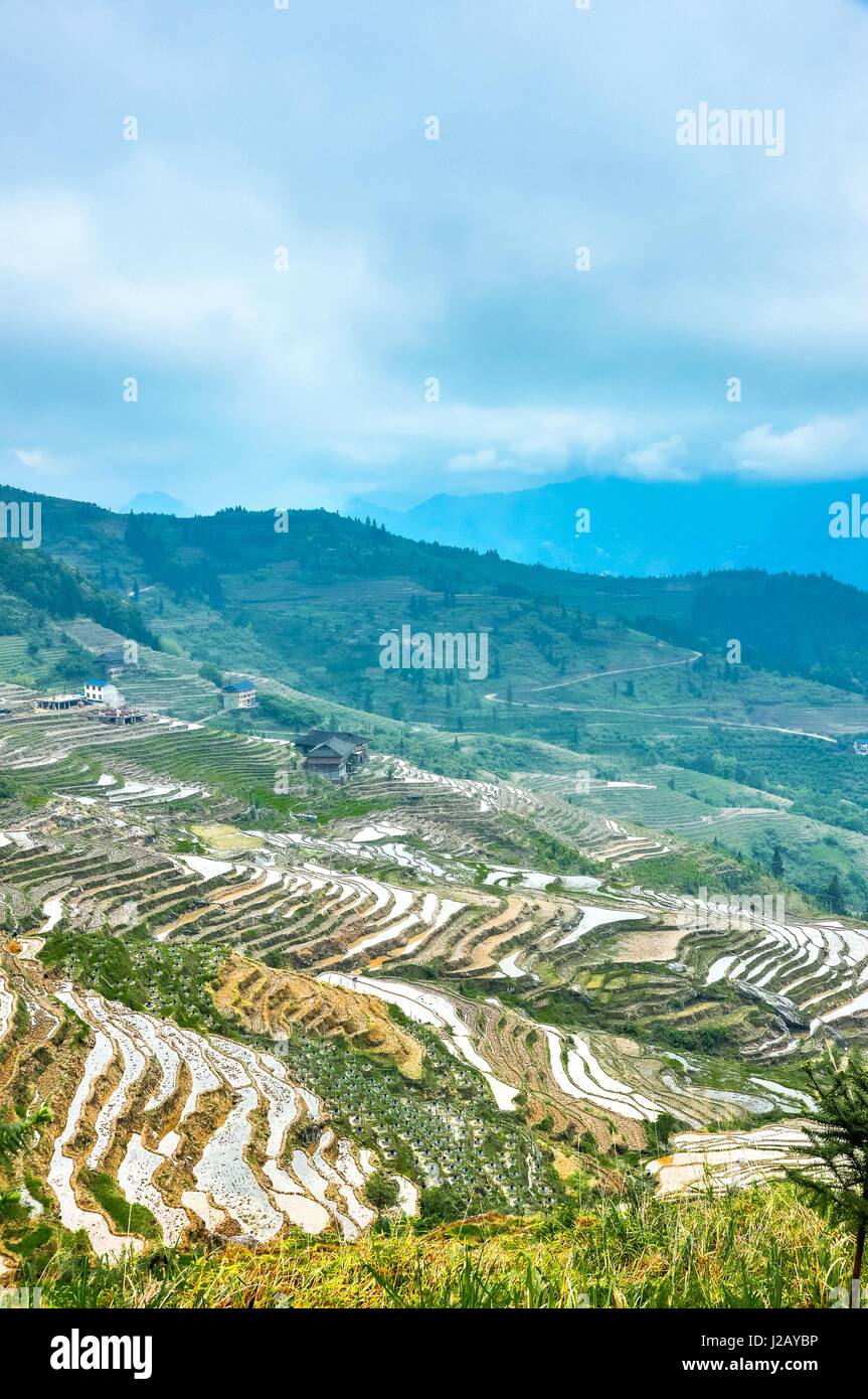 Colorful terraced fields scenery in spring Stock Photo - Alamy