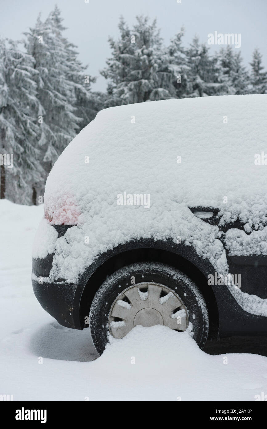 Snow covered car with trees in background Stock Photo - Alamy