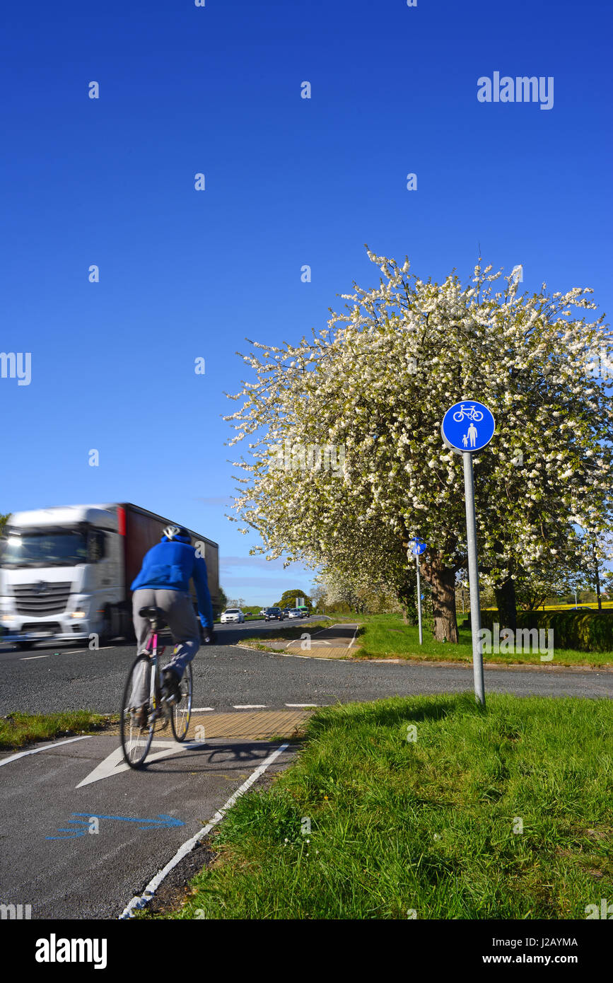 cyclist using designated cycle lane at the side of the A64 dual ...