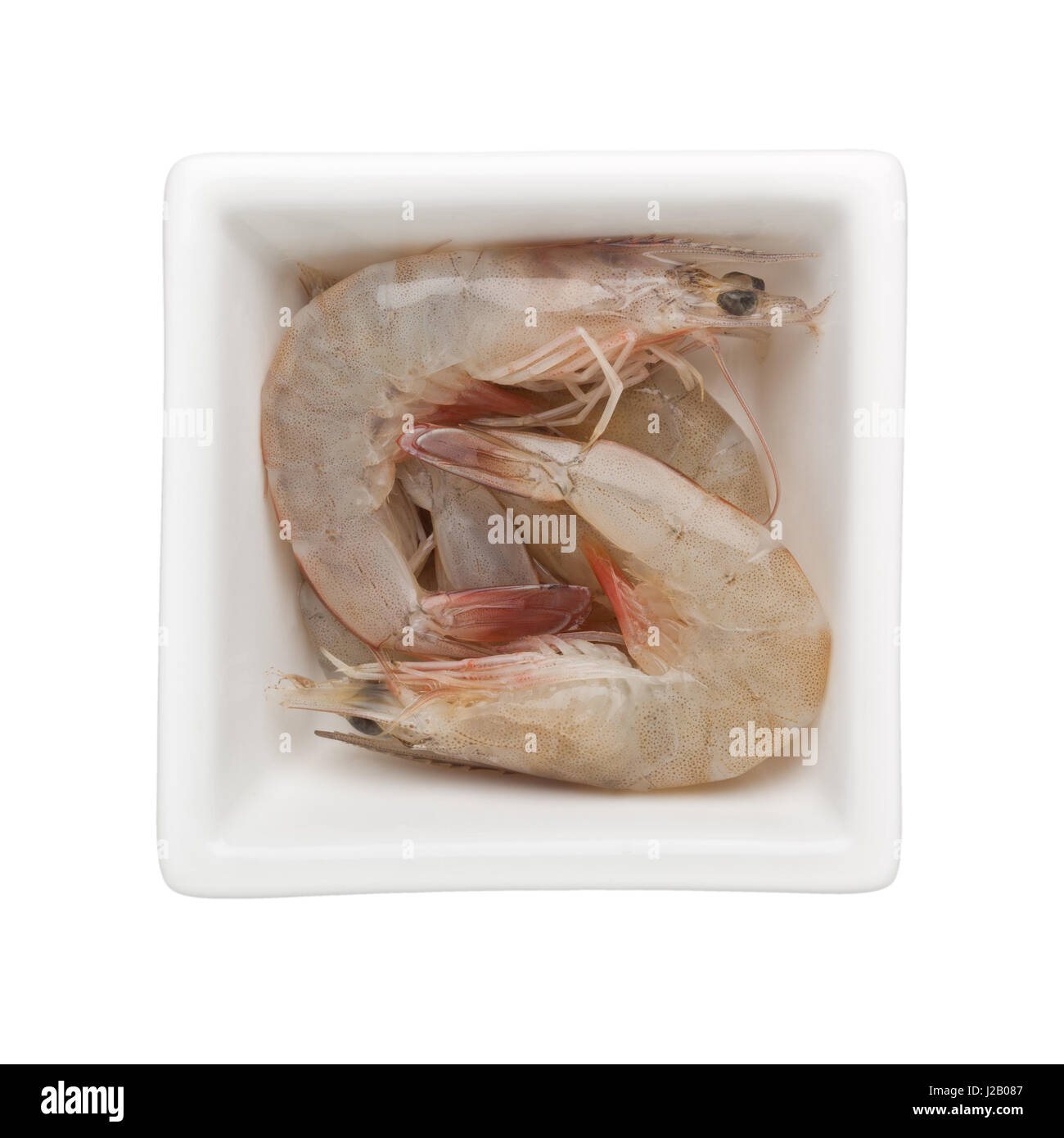 Raw grey prawns in a square bowl isolated on white background Stock ...