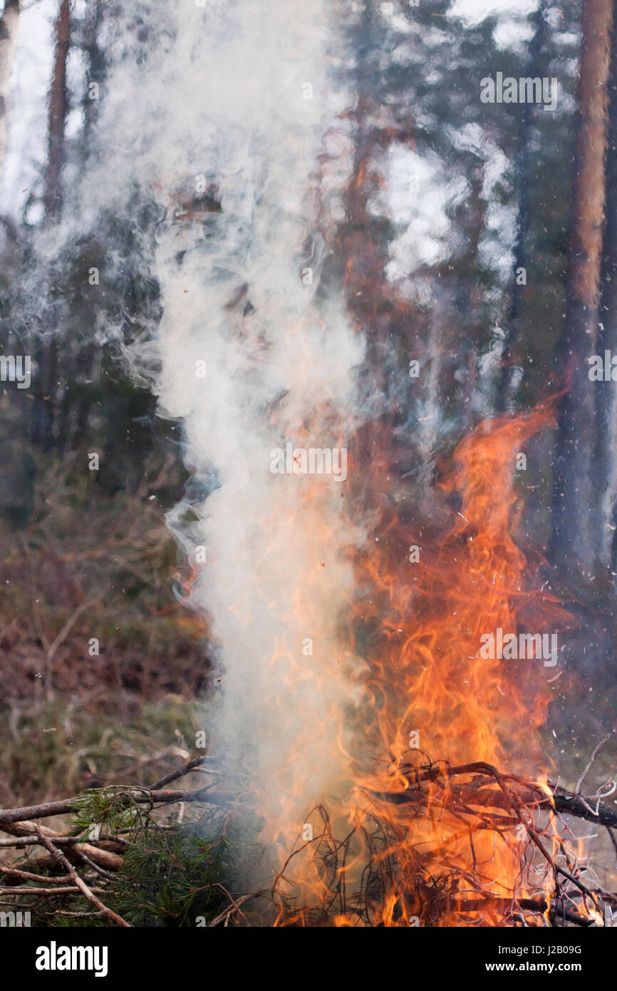 Forest fire from heat hi-res stock photography and images - Alamy