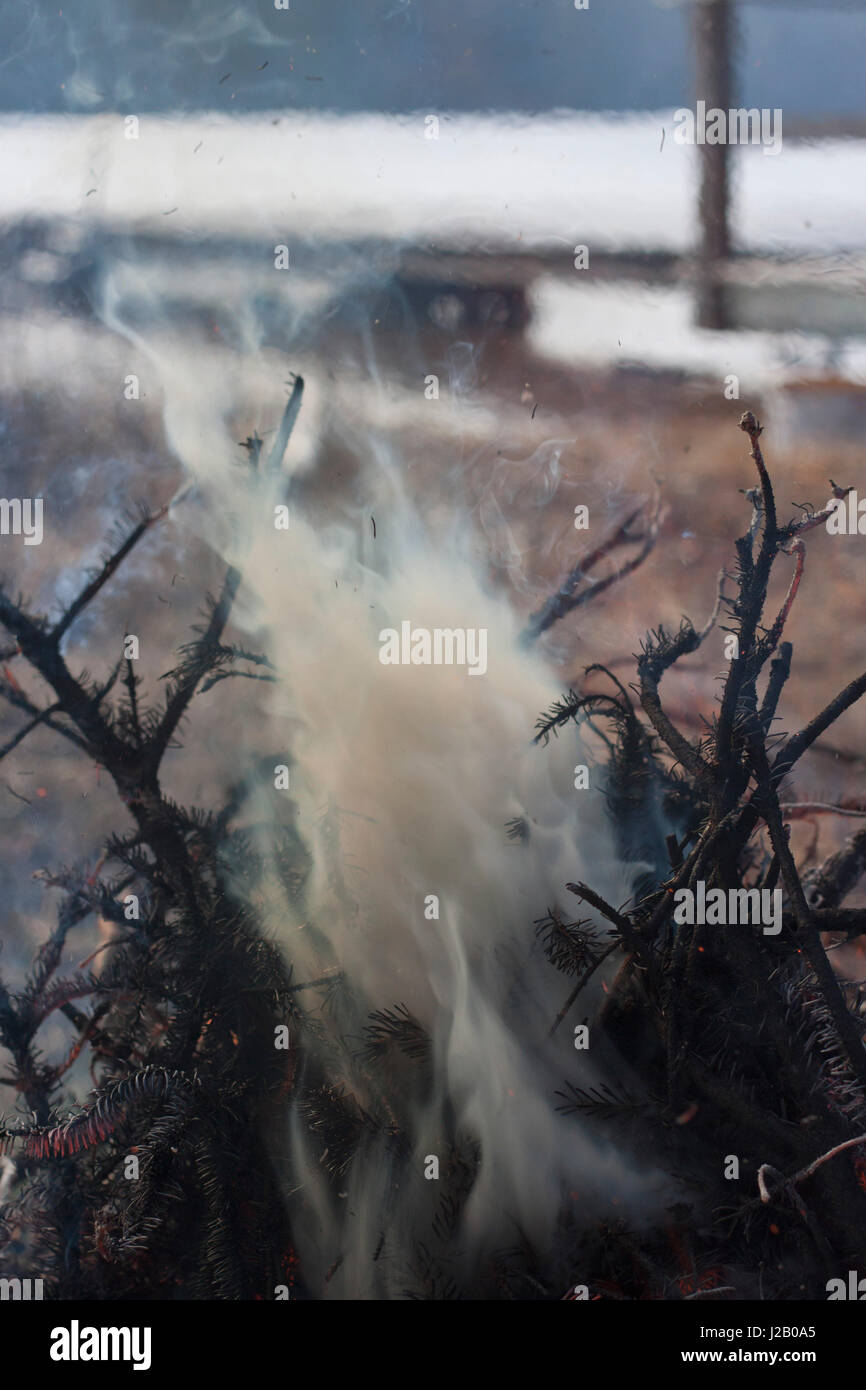 Smoke emitting from burnt branches Stock Photo - Alamy