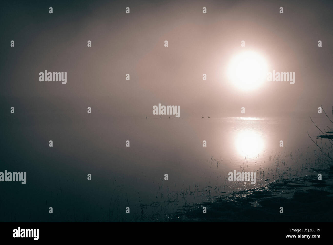 Fog over lake sun hi-res stock photography and images - Alamy