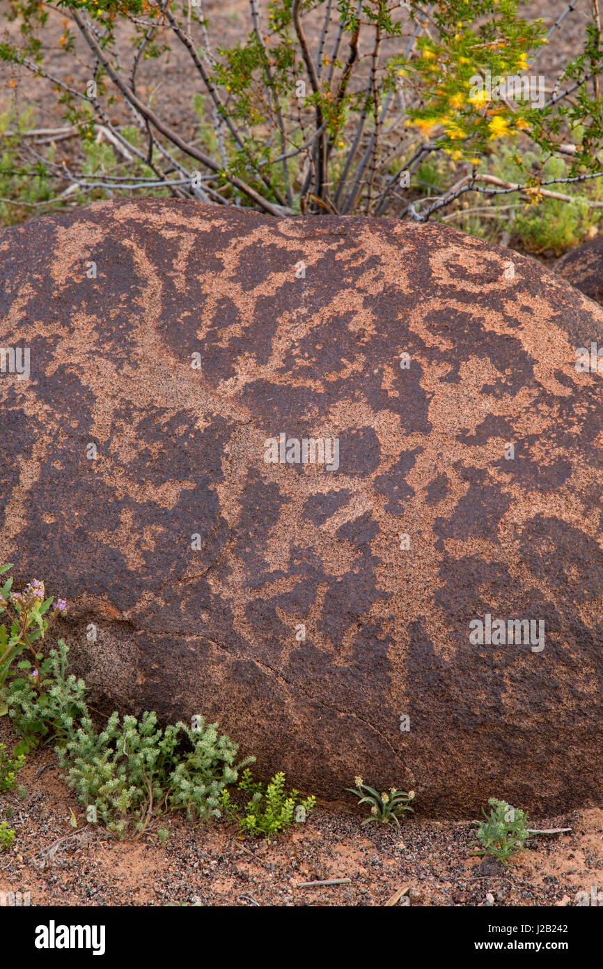 Petroglyphs, Painted Rock Petroglyph Site, Juan Bautista de Anza ...