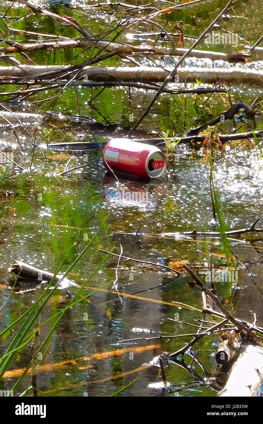 Pop can floating on water Stock Photo - Alamy
