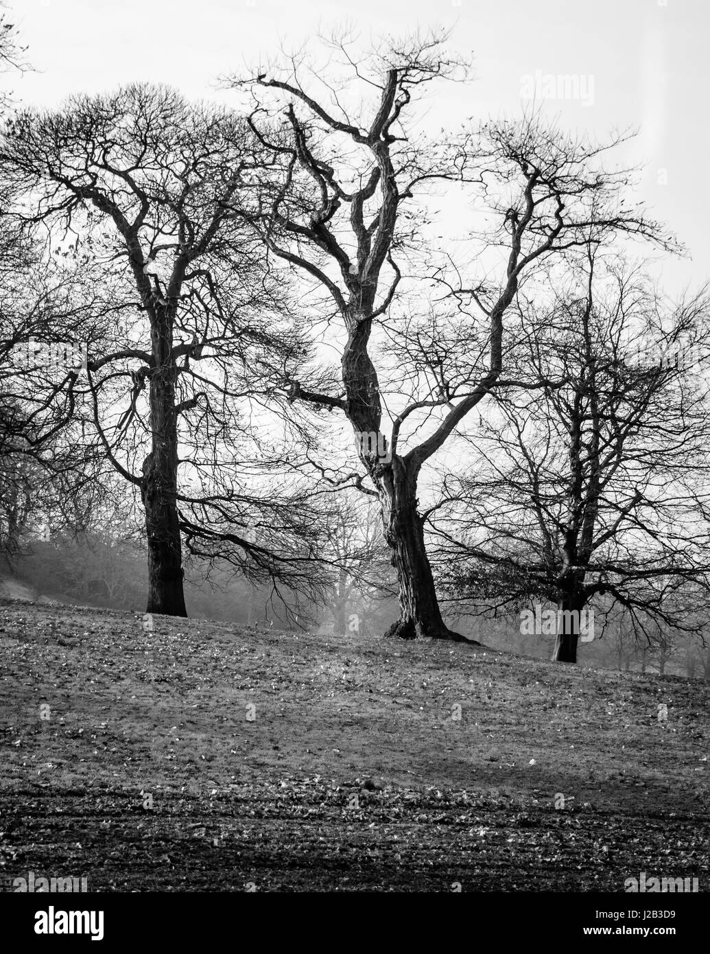 Dull gray landscape Black and White Stock Photos & Images - Alamy
