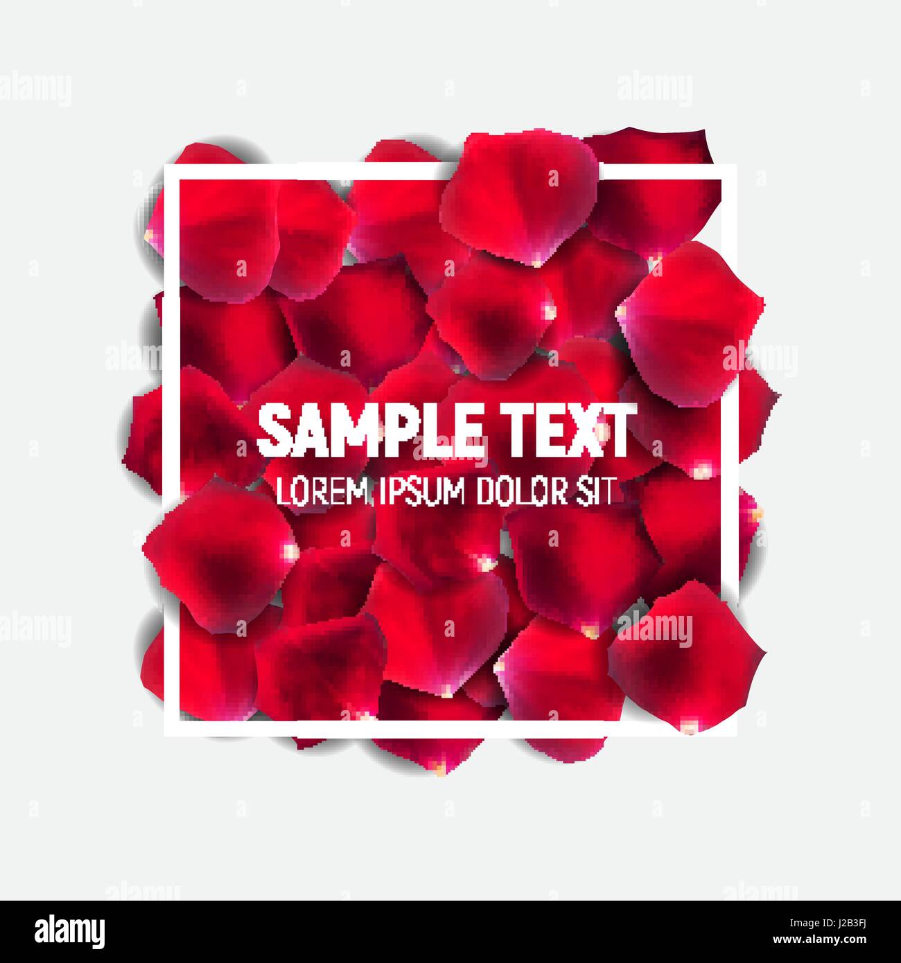 Abstract Natural Rose Petals with Frame Background Realistic Vec Stock ...