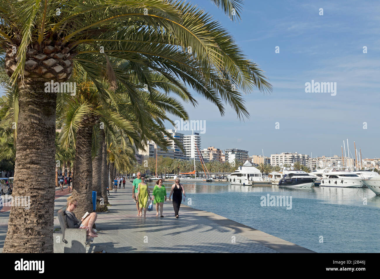 Palma mallorca majorca palm trees hi-res stock photography and images ...
