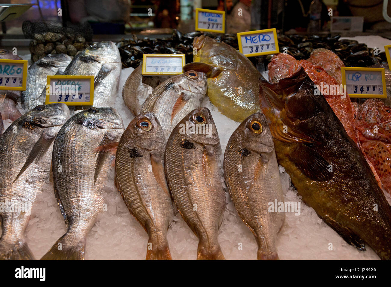 fish stall at Mercat de l´Olivar in Palma de Mallorca, Spain Stock ...