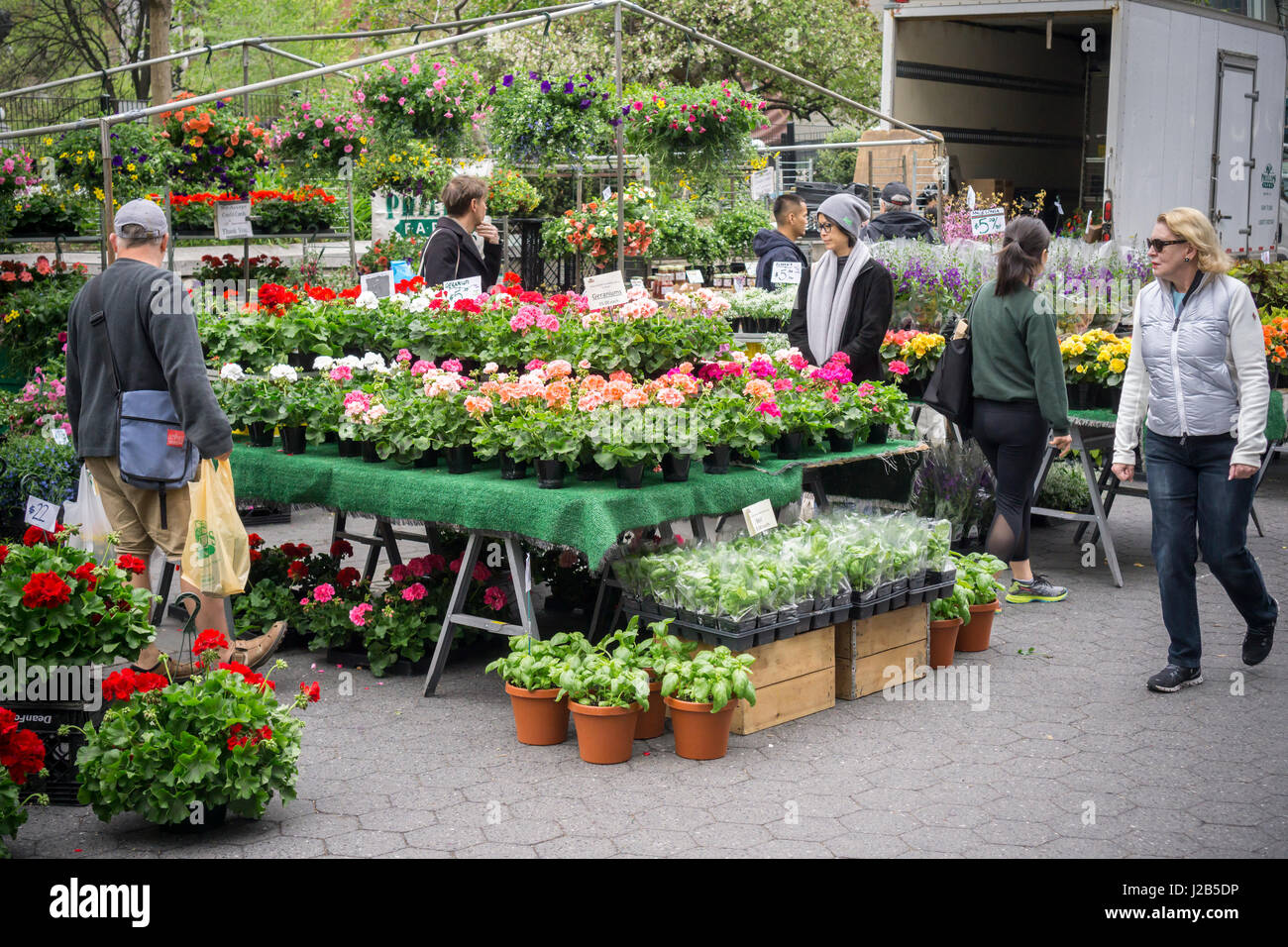 Union square farmers market plants hi-res stock photography and images ...