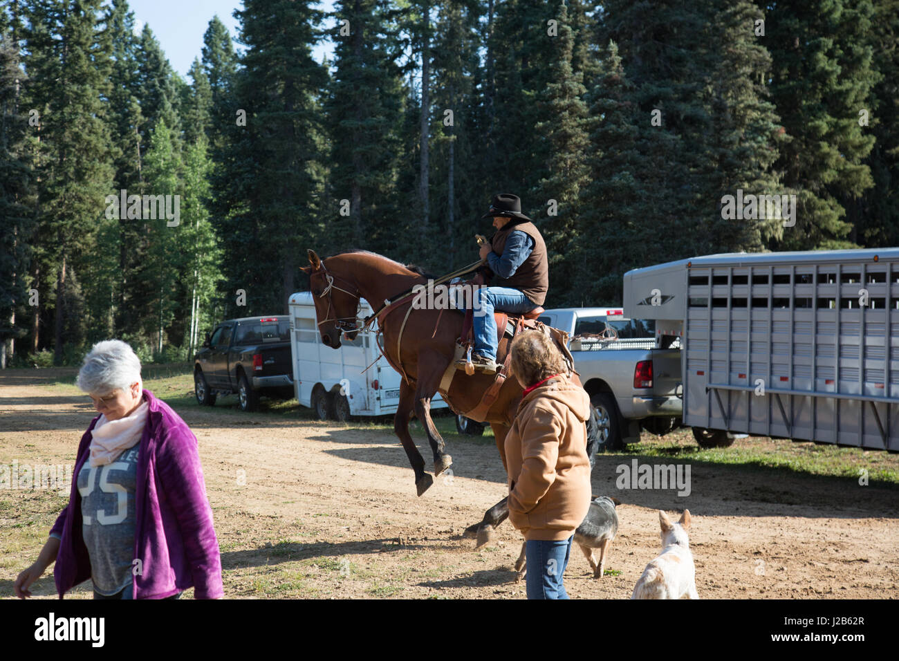 Dog Cowboy Horse Ride High Resolution Stock Photography and Images - Alamy