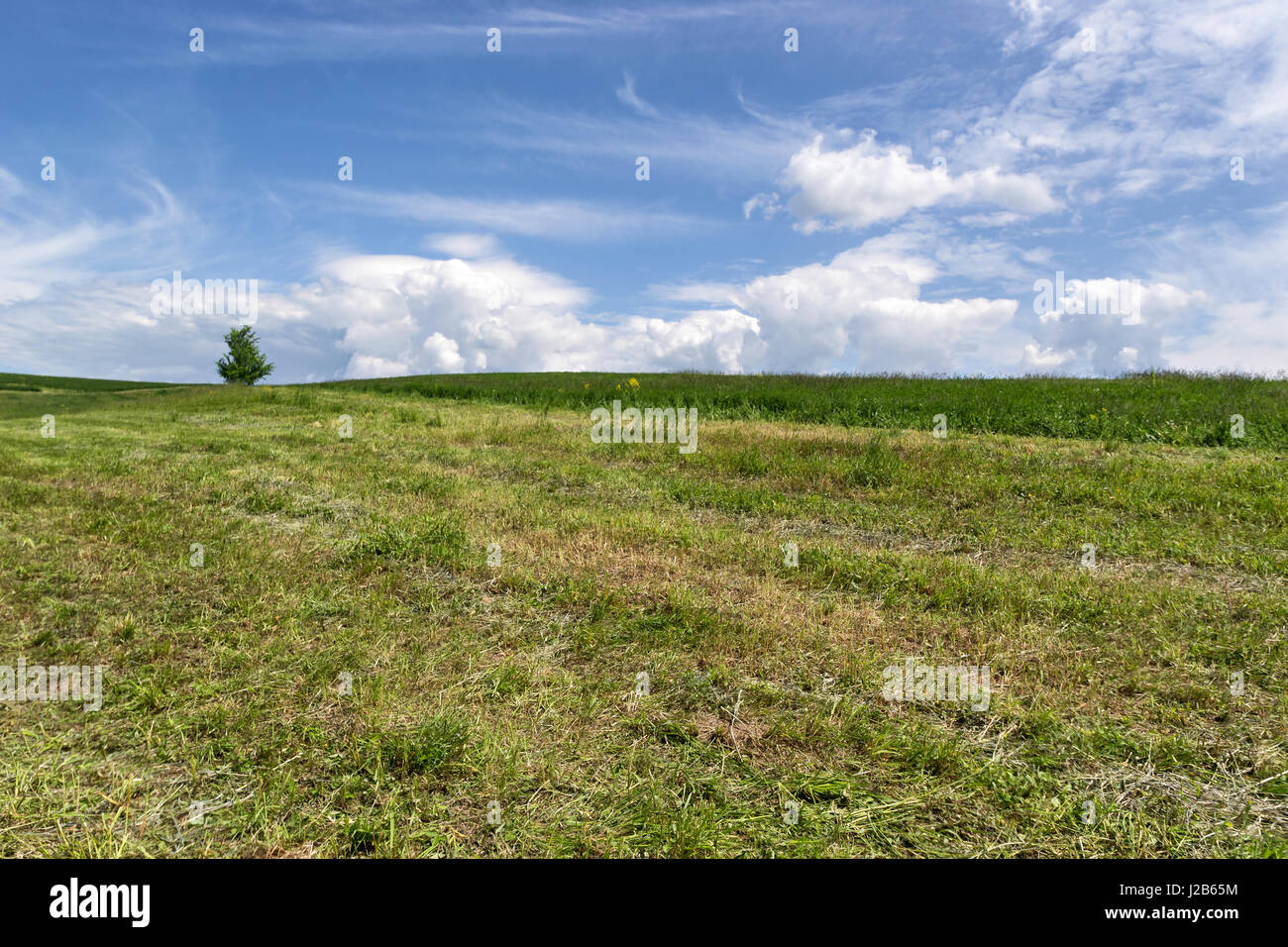 Landscape with a natural sloping meadow Stock Photo - Alamy