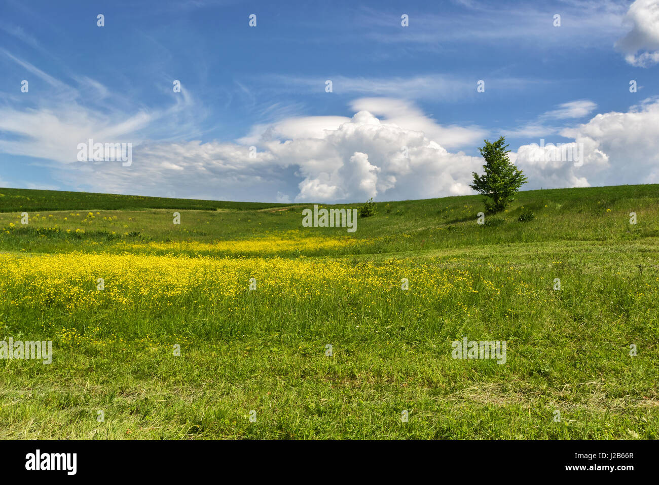 Natural meadow landscape and beautiful sky with clouds Stock Photo - Alamy
