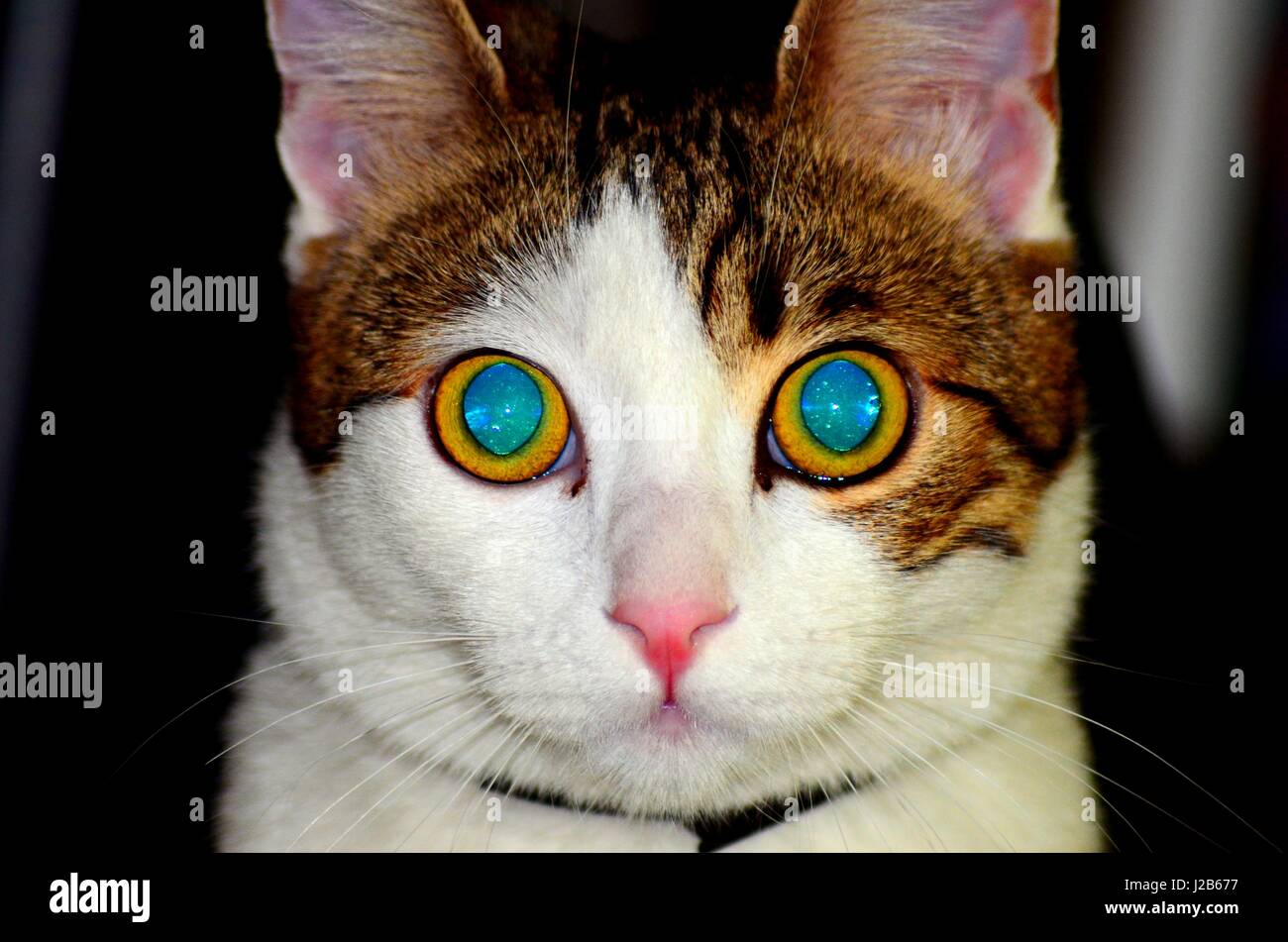 Galaxy portrait hi-res stock photography and images - Alamy