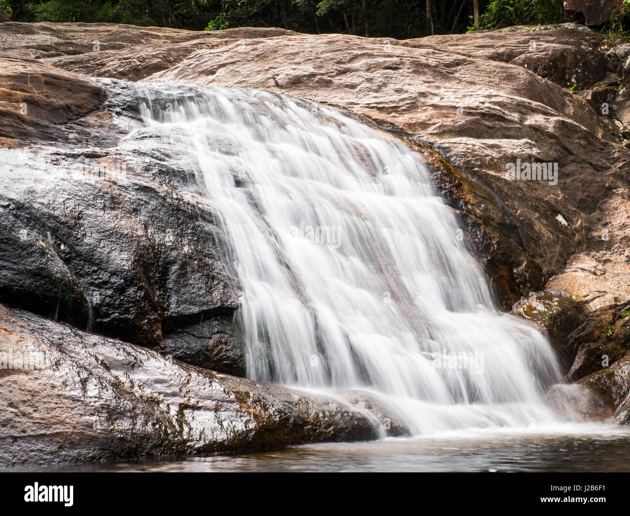 Small waterfall in between trees, in Joatinga park,near Paraty, Rio de ...