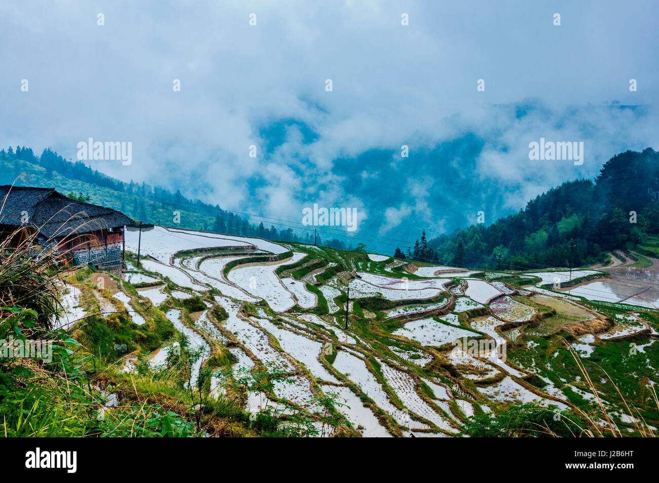 Scenery with fields in summer hi-res stock photography and images - Alamy