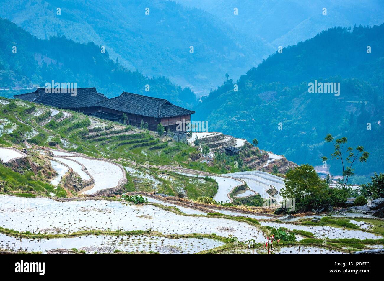 Green terraced fields hi-res stock photography and images - Alamy