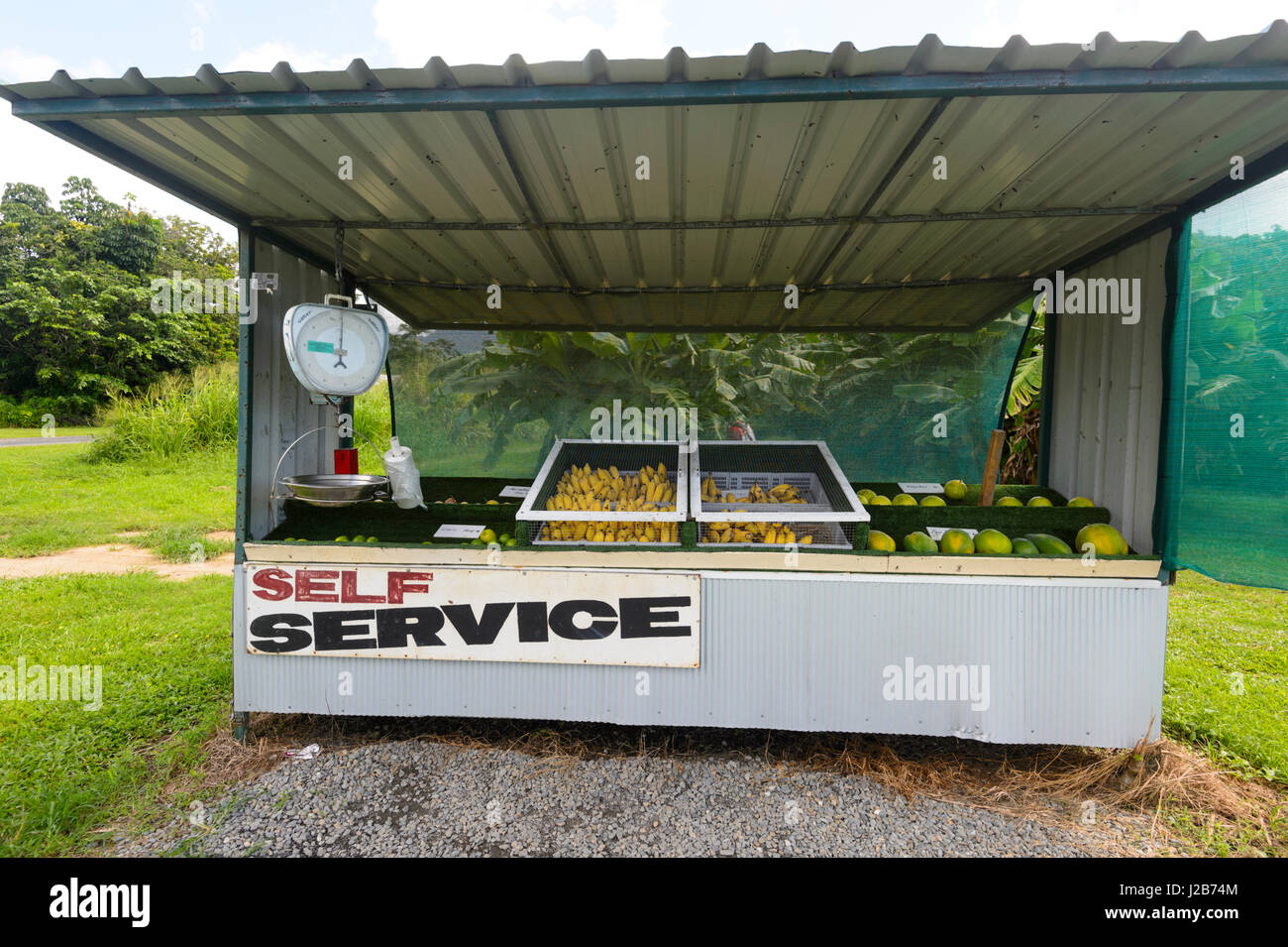 Self-service Fruit Stall near the rural town of Babinda, Queensland ...