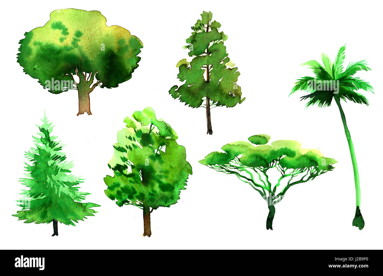 Watercolor tree set Stock Photo - Alamy
