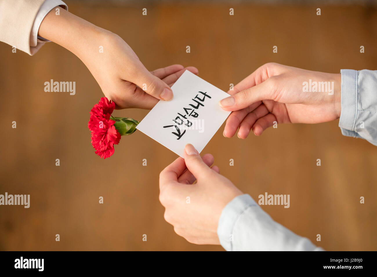 Hands giving and taking gratitude card and carnation Stock Photo - Alamy