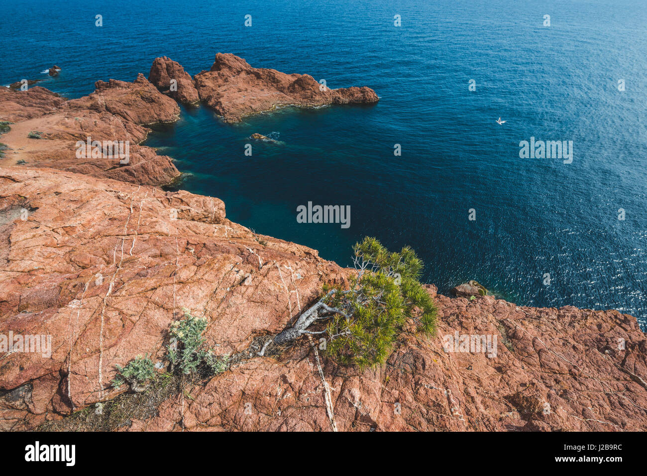 Le Dramont red rocks in the southern part of France. (Photo by ...