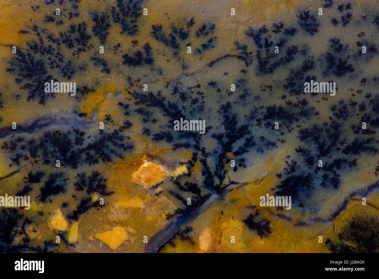 Dendritic hi-res stock photography and images - Alamy