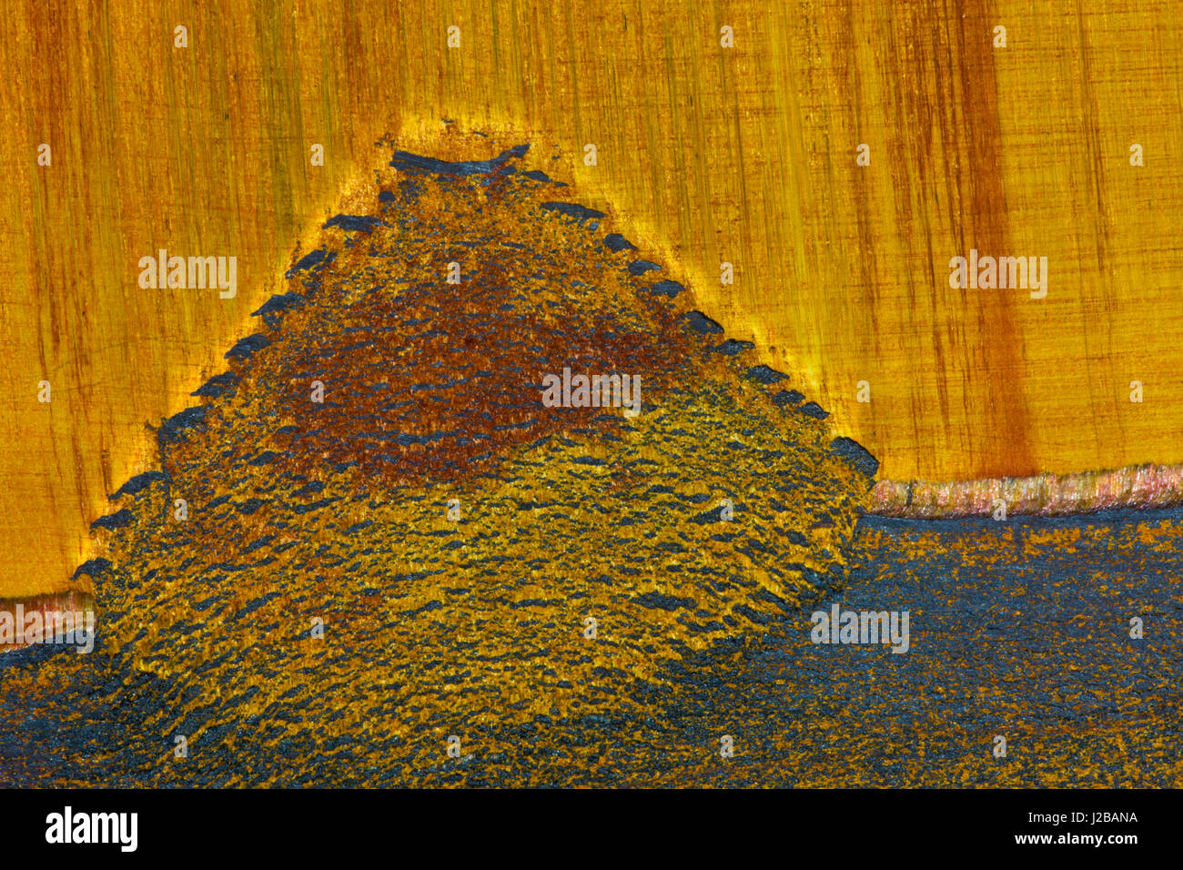 Marra Mamba Tiger Eye Stock Photo - Alamy