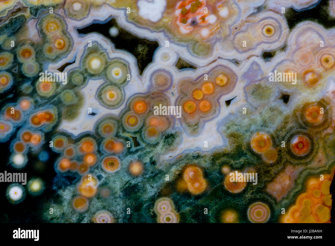 Ocean Jasper from Madagascar Stock Photo - Alamy