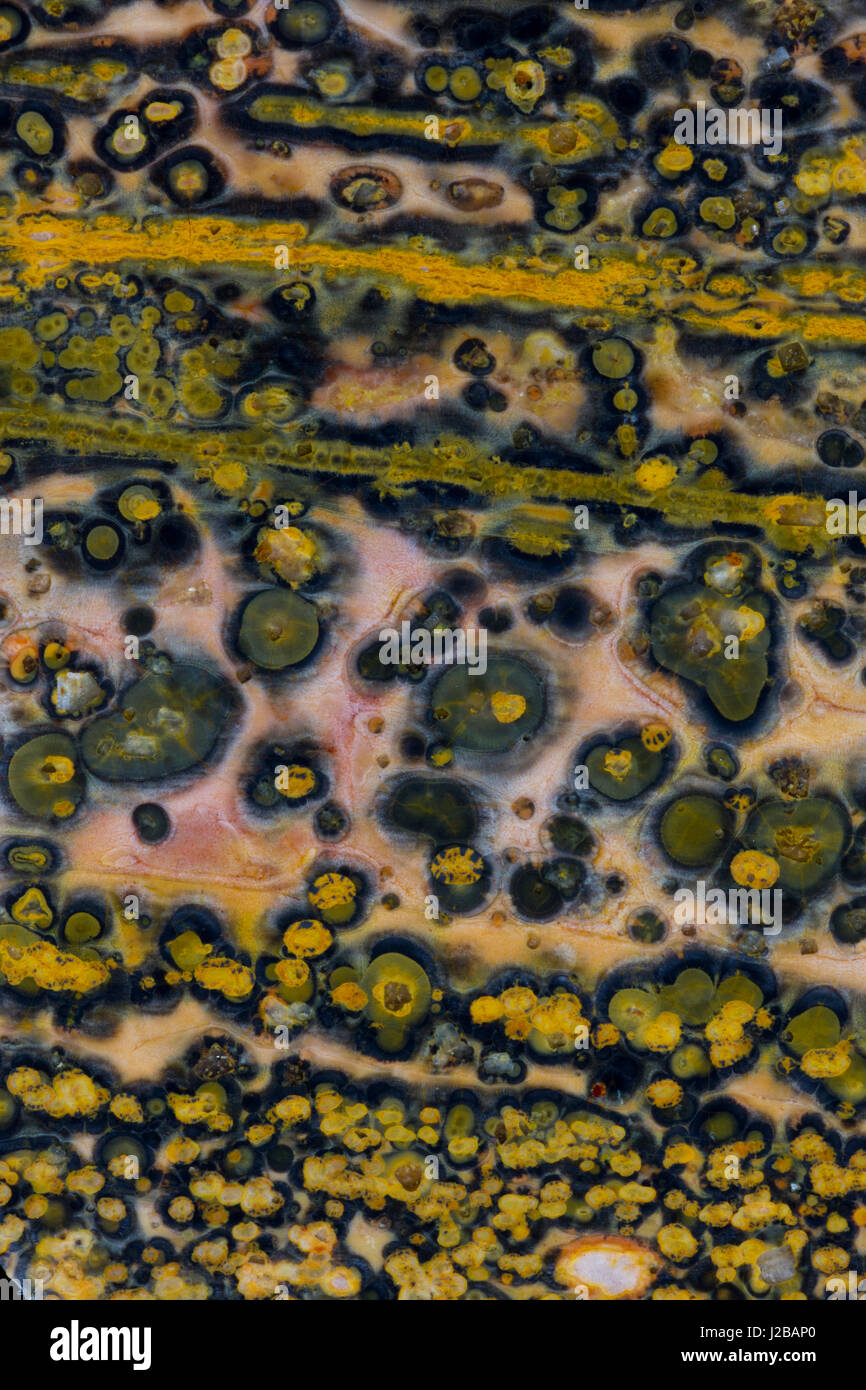 Ocean Jasper from Madagascar Stock Photo - Alamy