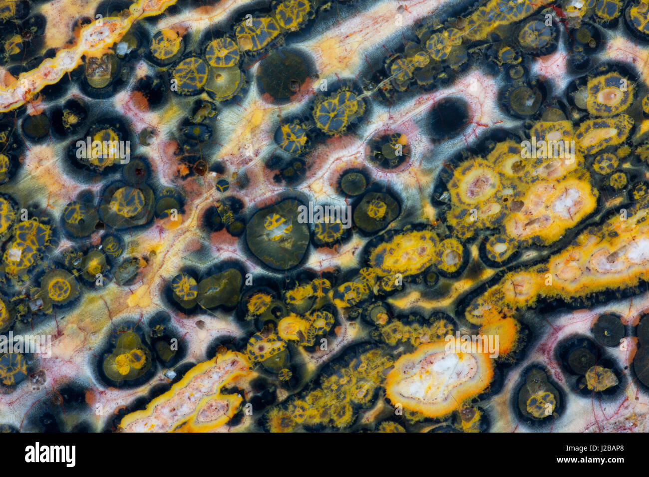 Ocean Jasper from Madagascar Stock Photo - Alamy