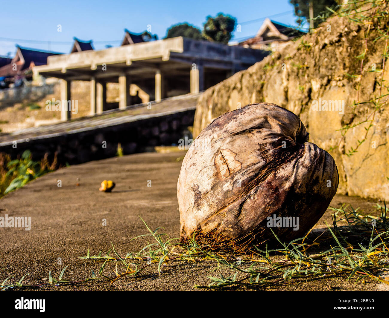 Desiccated coconut fruit hi-res stock photography and images - Alamy