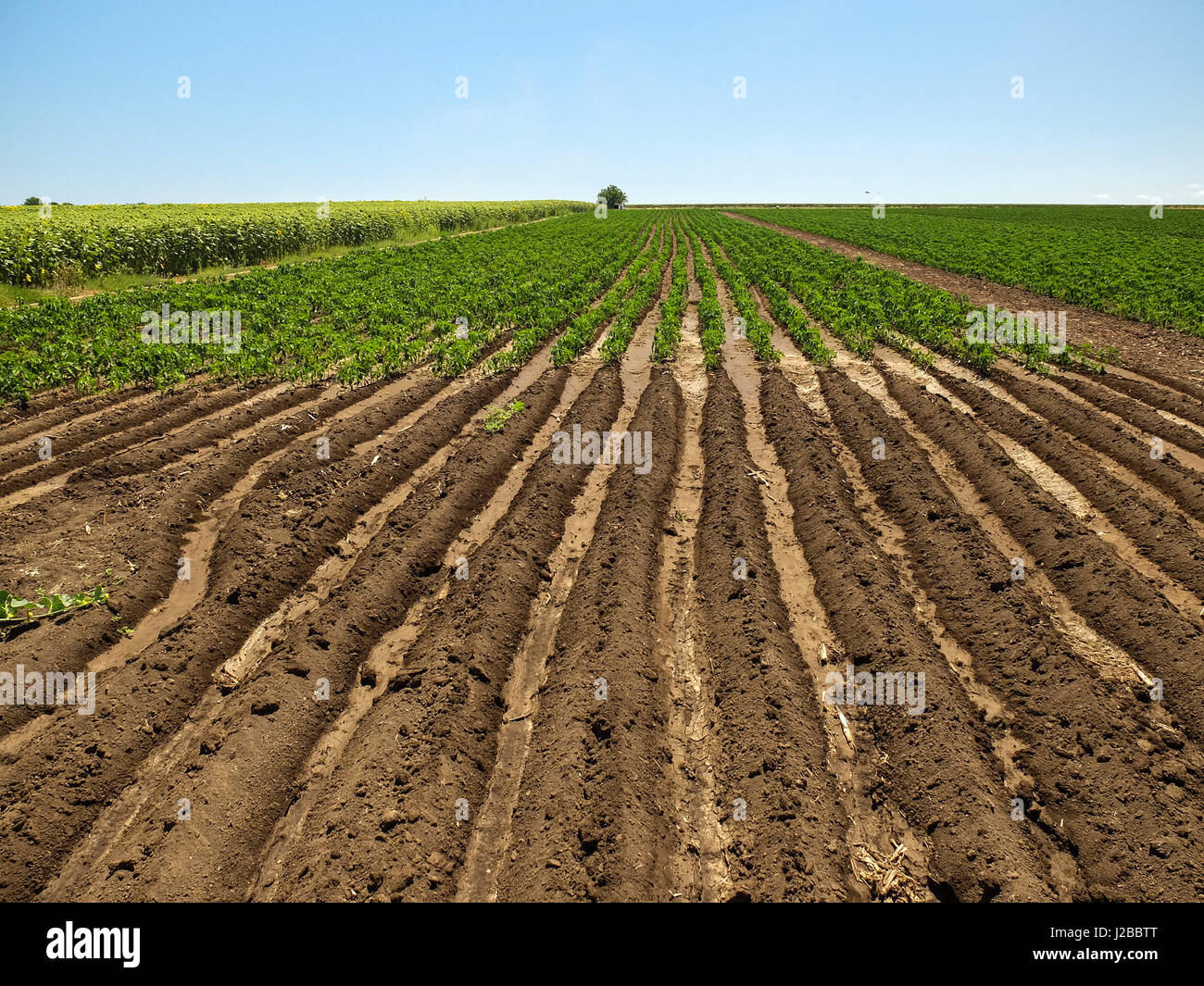 Krapets bulgaria hi-res stock photography and images - Alamy