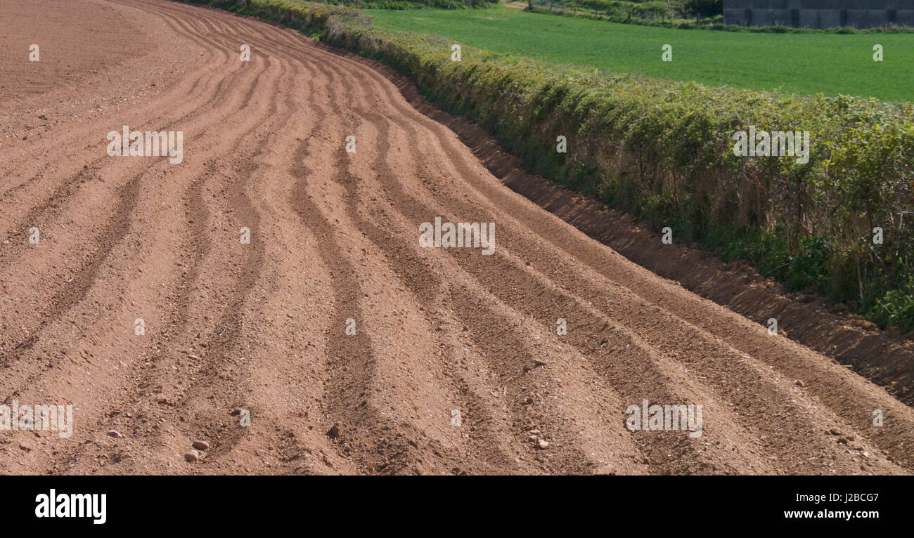 Furrow lines in dry soil in the sunshine Stock Photo - Alamy