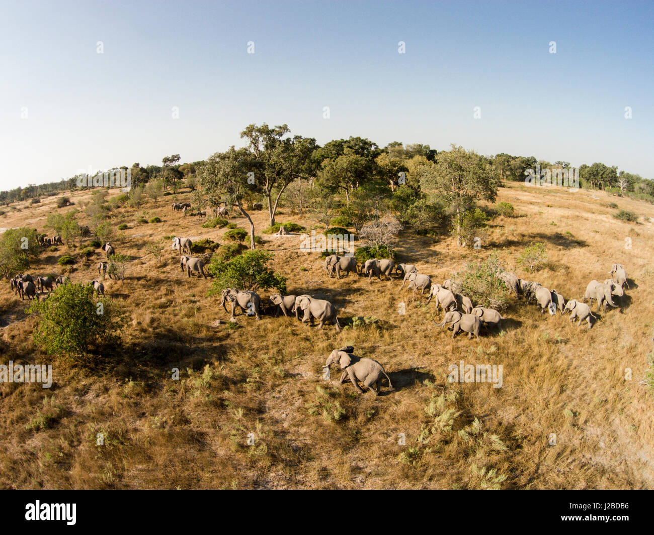 Kalahari desert botswana aerial hi-res stock photography and images - Alamy