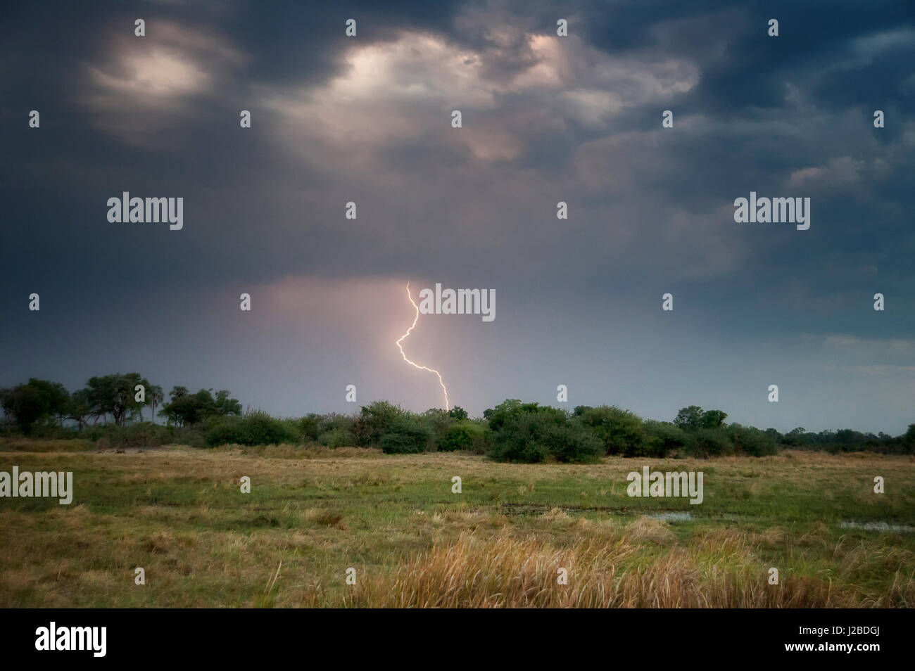 Botswana, Africa grassland landscape in lightening storm with ...