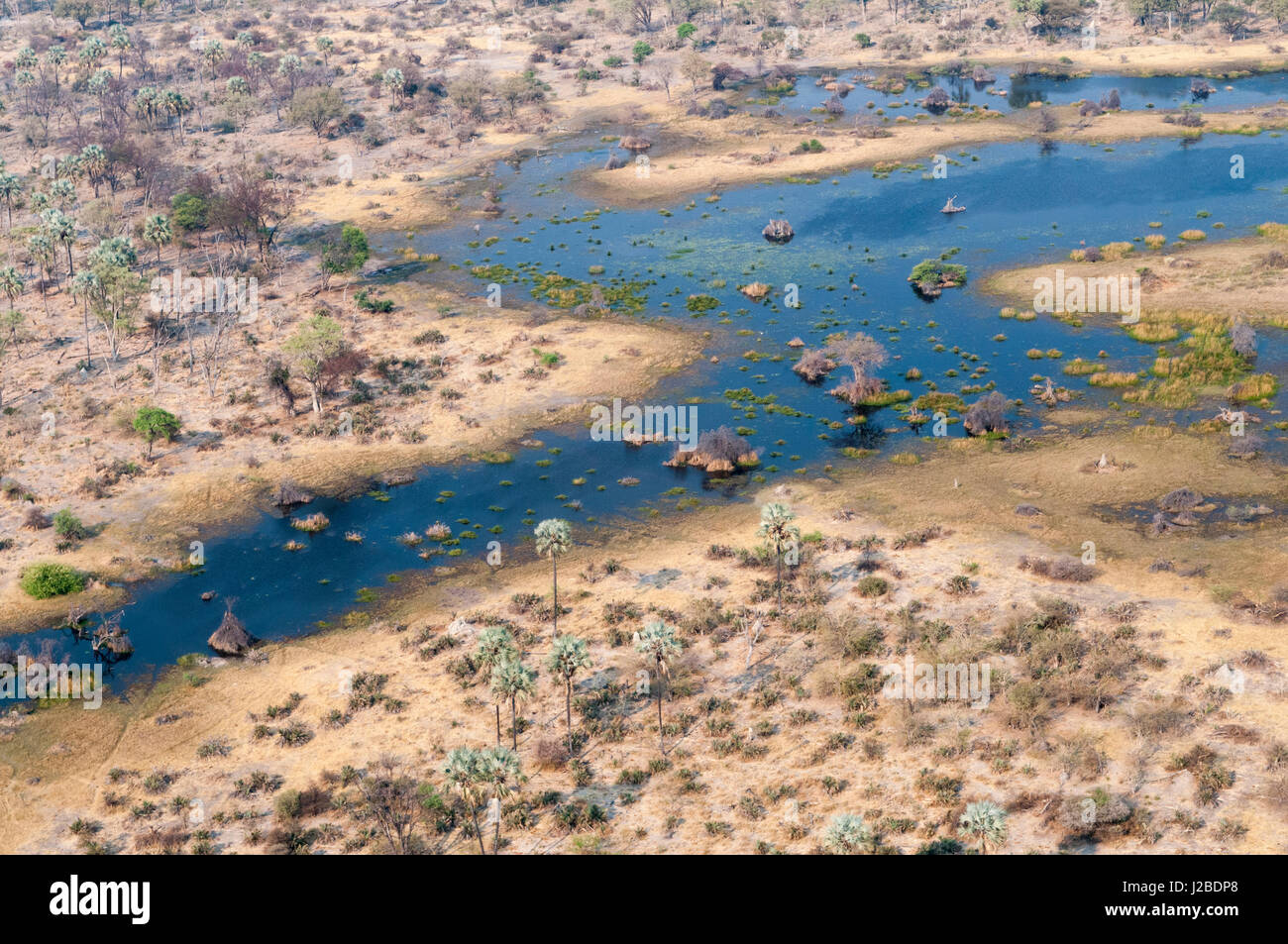 Aerial view of Okavango delta, Botswana Stock Photo - Alamy