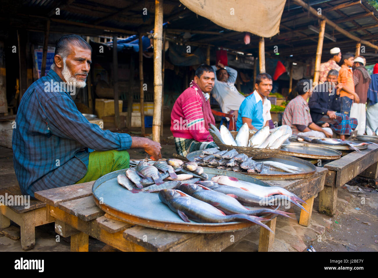 Riverfish for sale, Barisal, Bangladesh, Asia Stock Photo - Alamy
