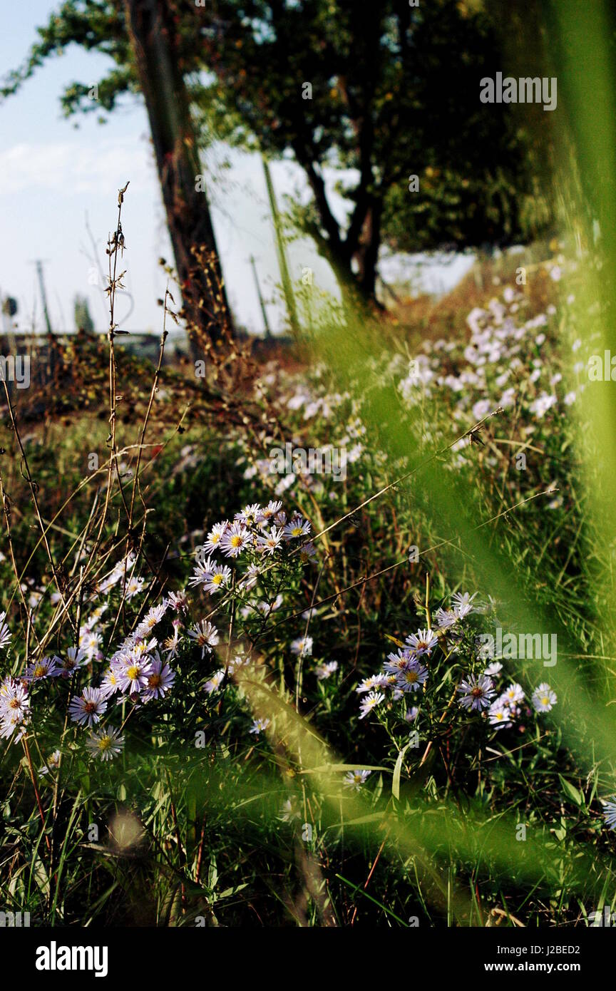 Summer summertime hot warm hi-res stock photography and images - Alamy