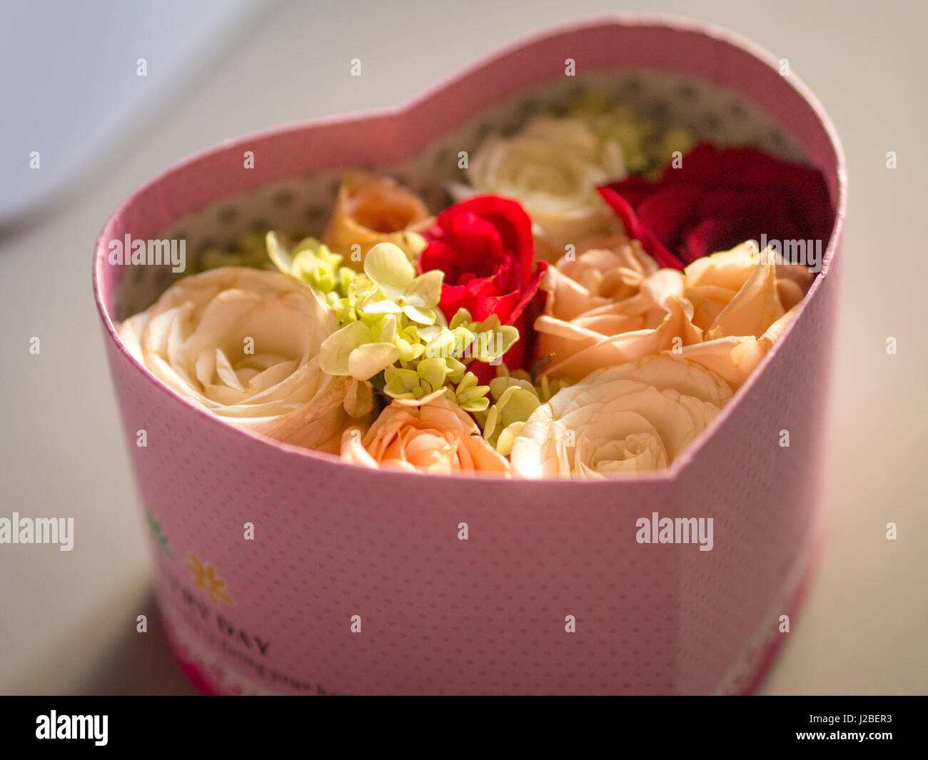 Rose Flower in Heart Shape Box Stock Photo - Alamy