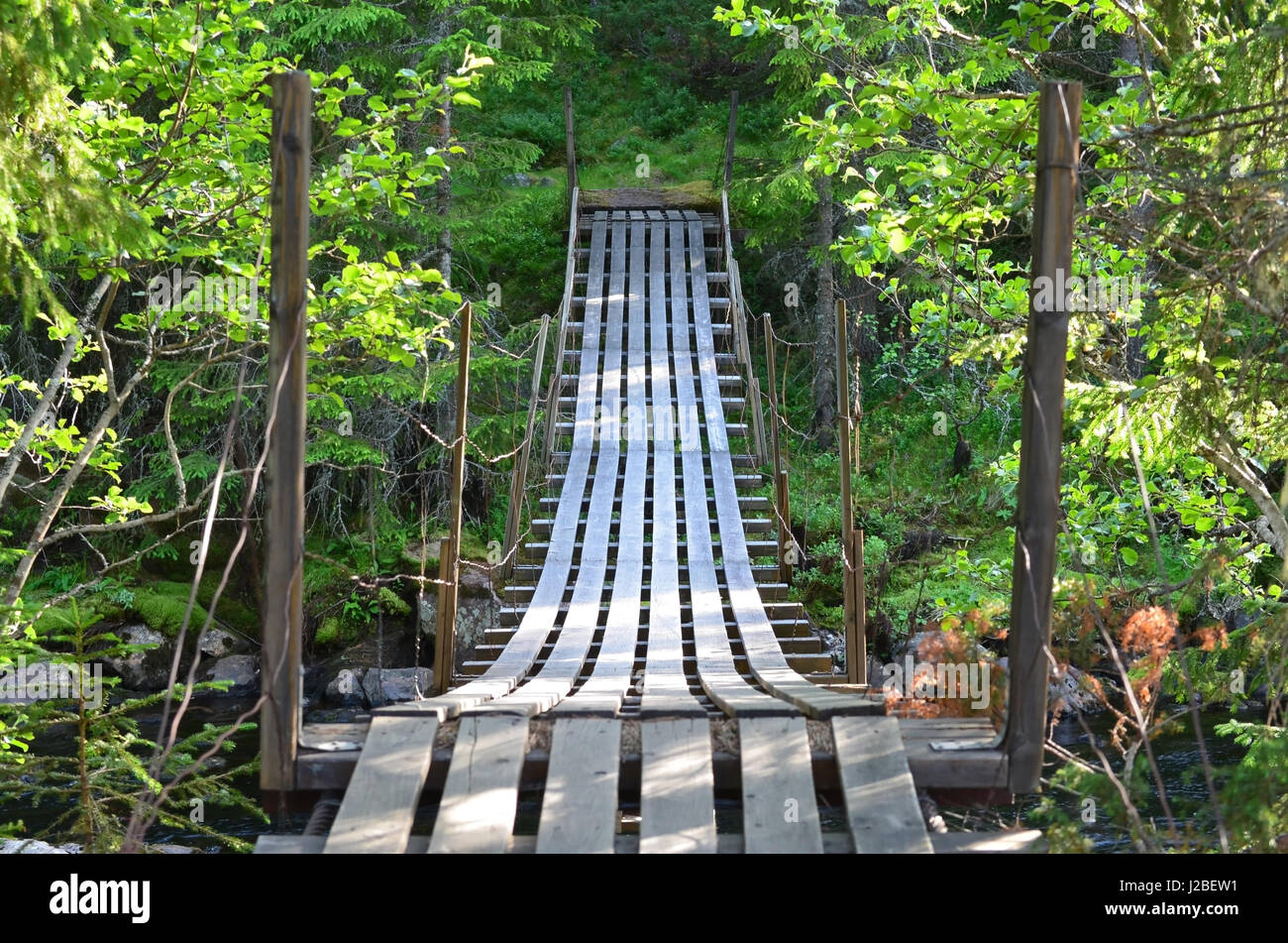 Old wooden suspension bridge across stream surrounded by forest trees ...