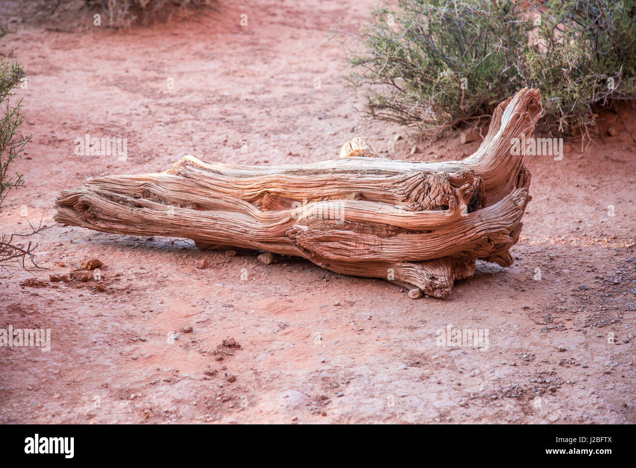 Twisted drift hi-res stock photography and images - Alamy
